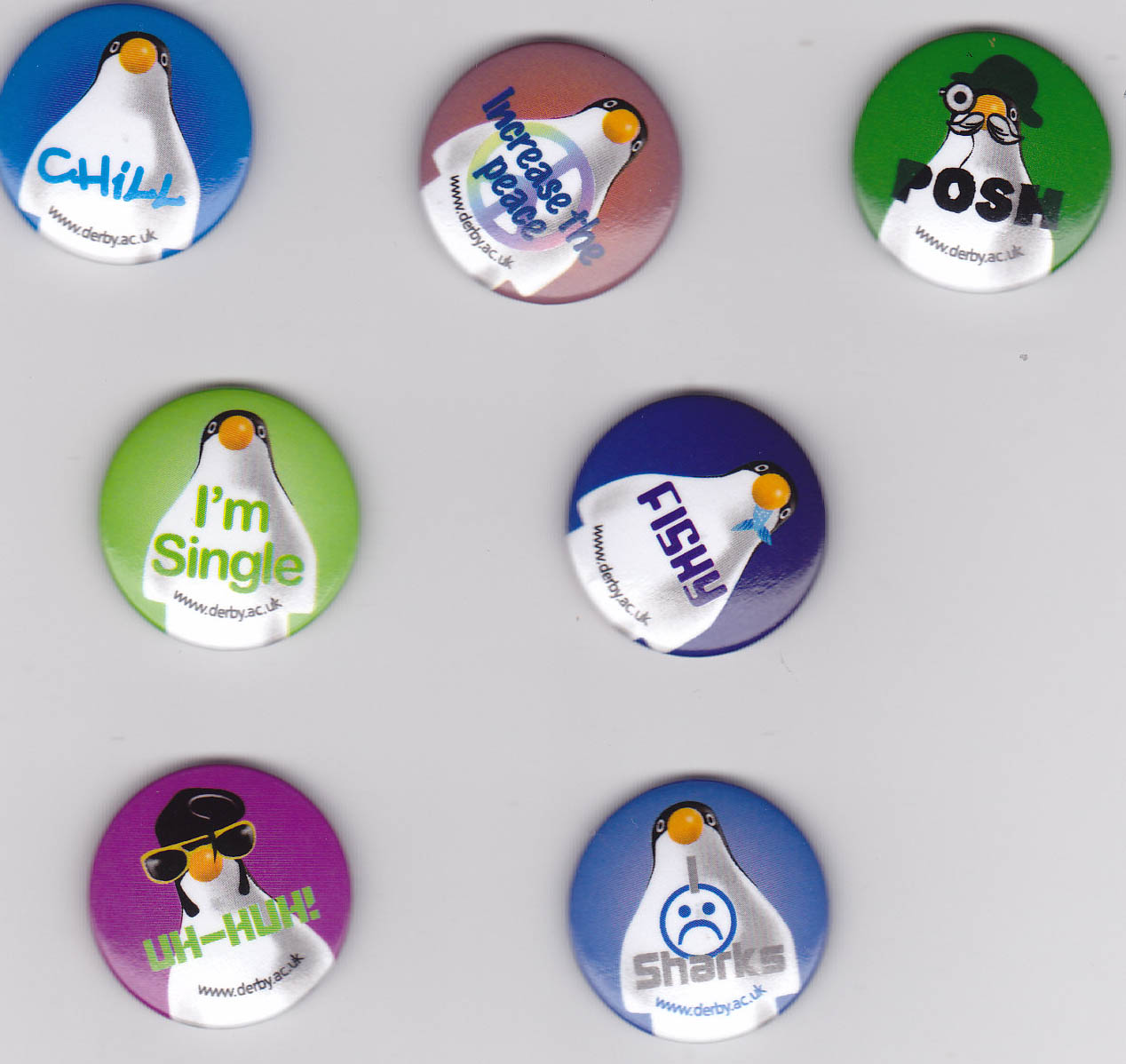 Derby University Penguin from the Badge Collectors Circle Archive